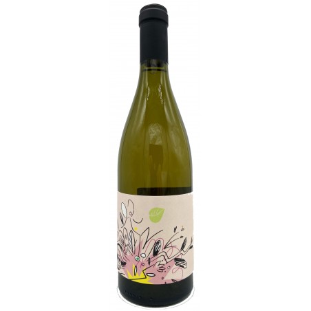 BLOOM VIN DES POTES